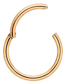 Prinz Albert Piercing | PA Intimschmuck für Herren